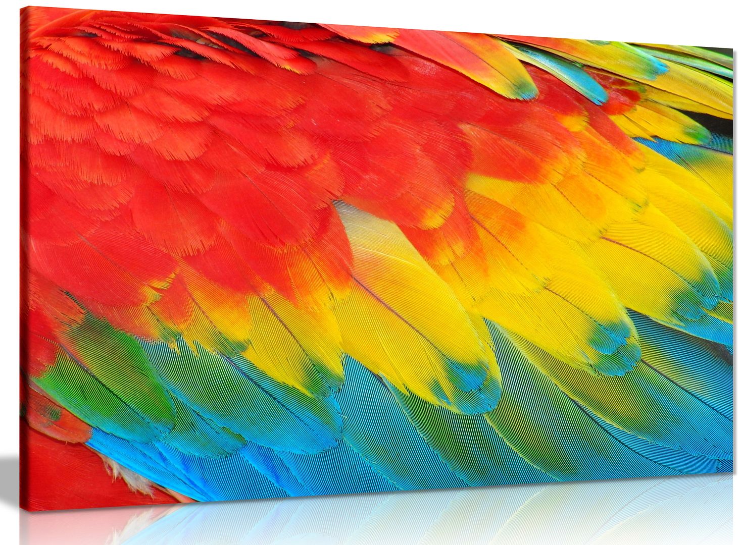 Tropical Parrot Feathers Colourful Macaw Canvas Wall Art Picture Print ...