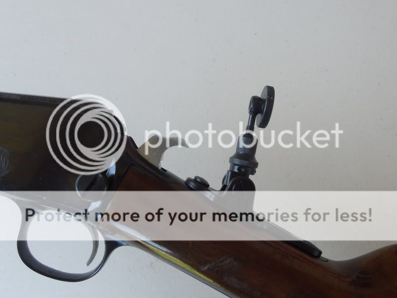 Taurus Tang Sight | Rimfire Central Firearm Forum