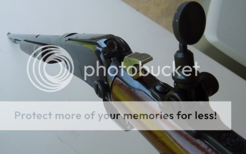 Taurus Tang Sight | Rimfire Central Firearm Forum